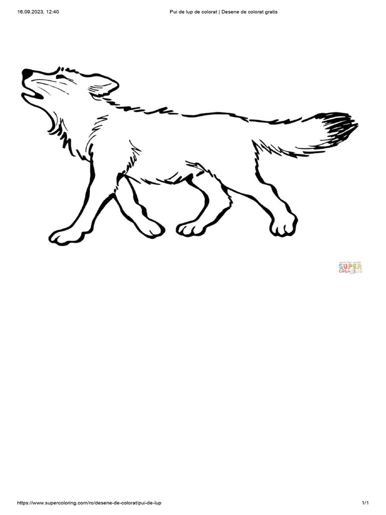 Pui de Lup de Colorat - Desene de Colorat | PDF