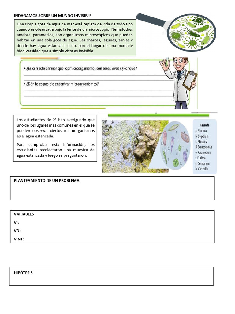 INDAGAMOS SOBRE UN MUNDO INVISIBLE | PDF