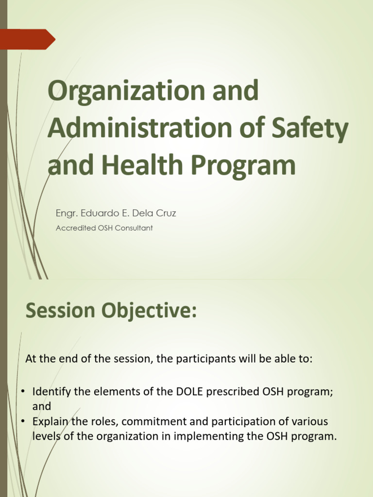 Org and Admin of Safety and Health ProgramDelaCruz | PDF | Occupational ...