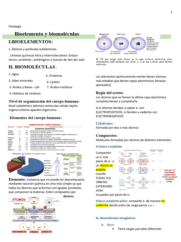 Bioelemento y Biomoléculas: I.Bioelementos | PDF | Homeostasis | Enlace covalente