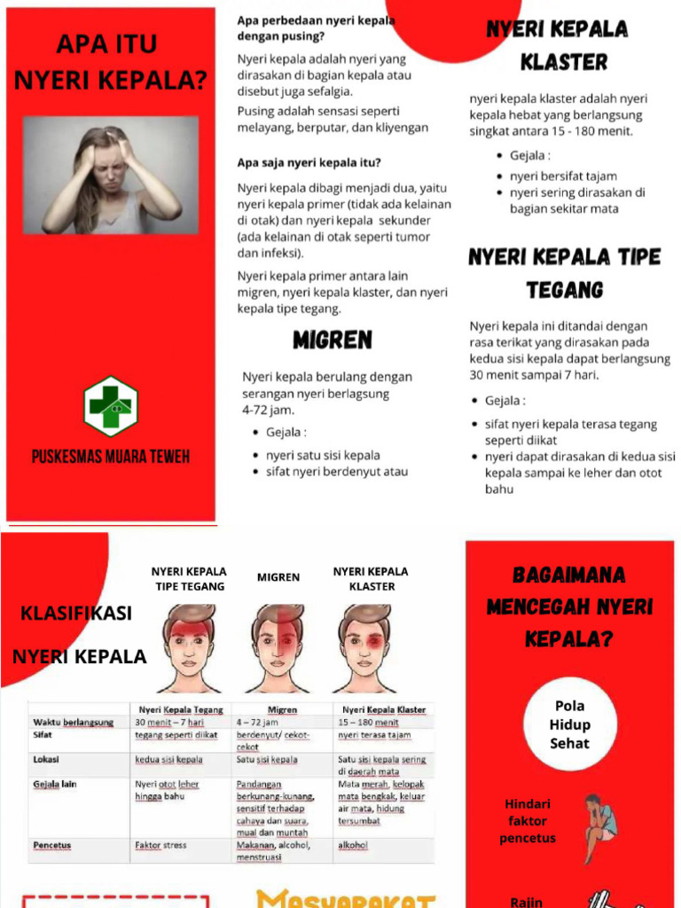 Leaflet Cephalgia | PDF