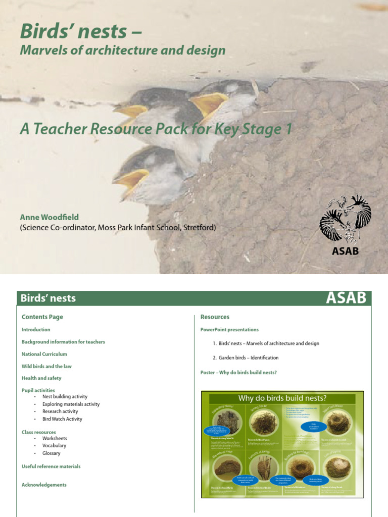 Note On Birds Nest | PDF | Birds | Holarctic Birds