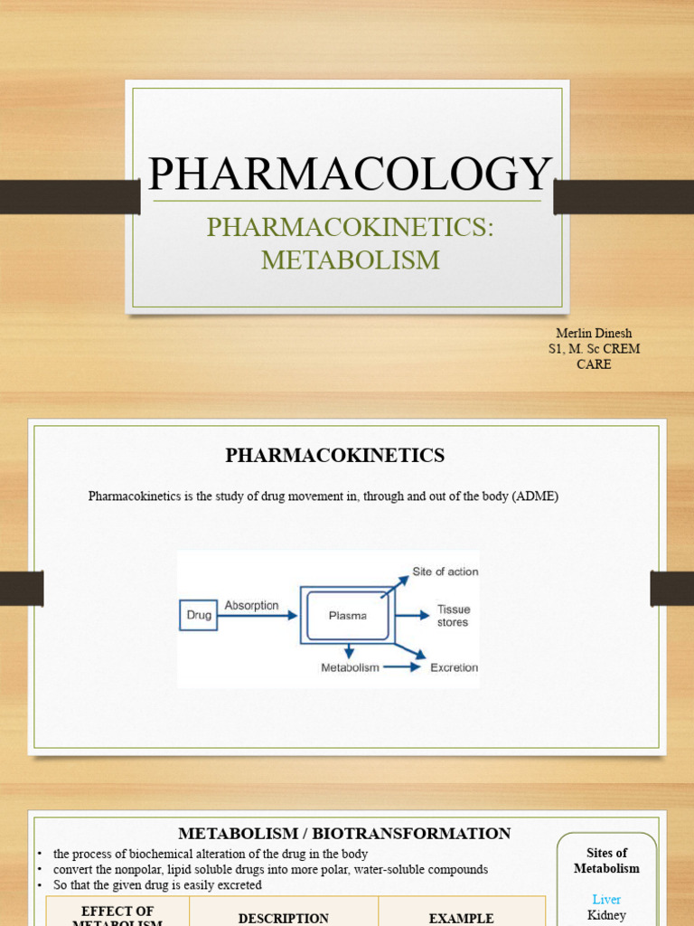 Phase 1 and Phase 2 Drug Metabolism | PDF | Drug Metabolism | Metabolism