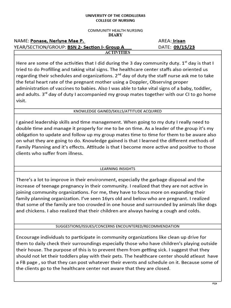 Diary Format | PDF | Pregnancy | Nursing