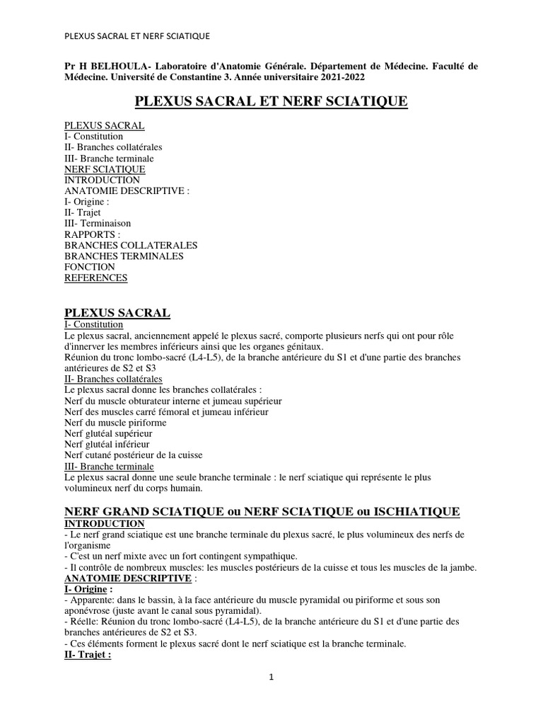 Anatomie du Plexus Sacral et Sciatique | PDF | Jambe humaine ...