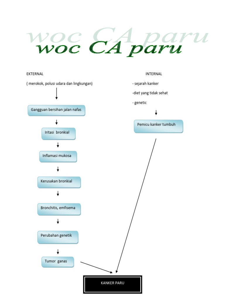 Pathway Kanker Paru dan Patofisiologi | PDF