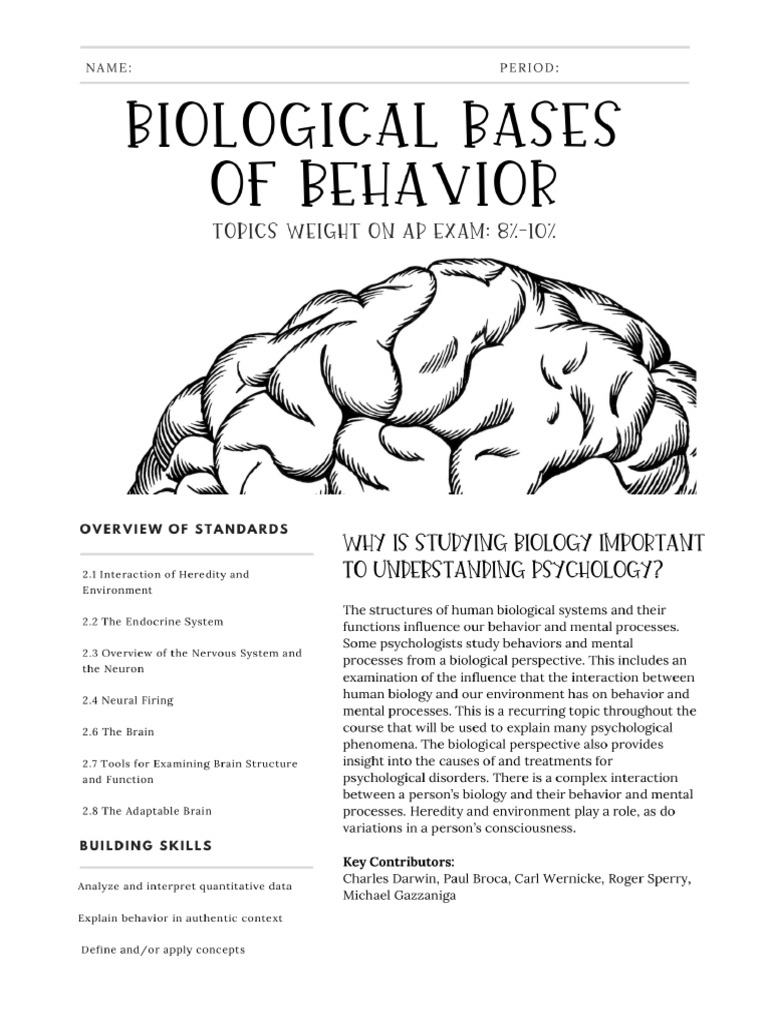 Guided Notes Biological Bases of Behavior 2023 | PDF | Nervous System ... Guided Notes Biological Bases of Behavior 2023 | PDF | Nervous System ...