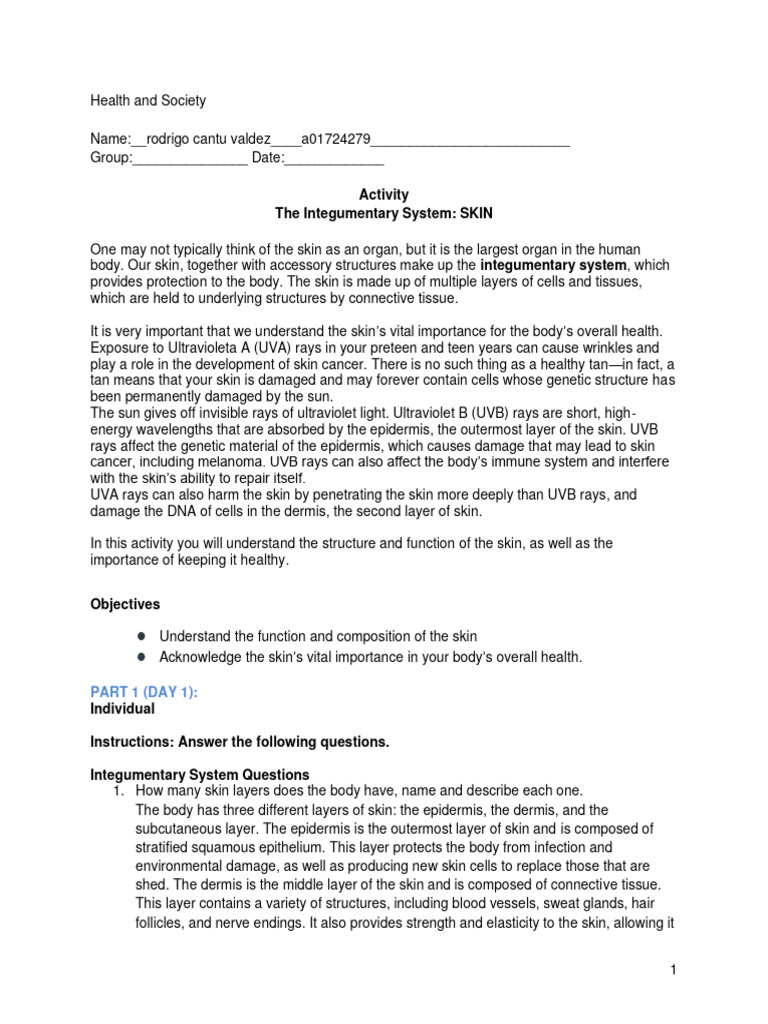 Skin | PDF | Skin | Integumentary System