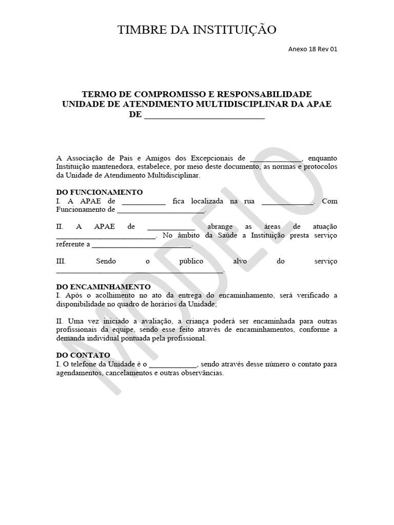 Anexo 18 - TERMO DE COMPROMISSO E RESPONSABILIDADE | PDF