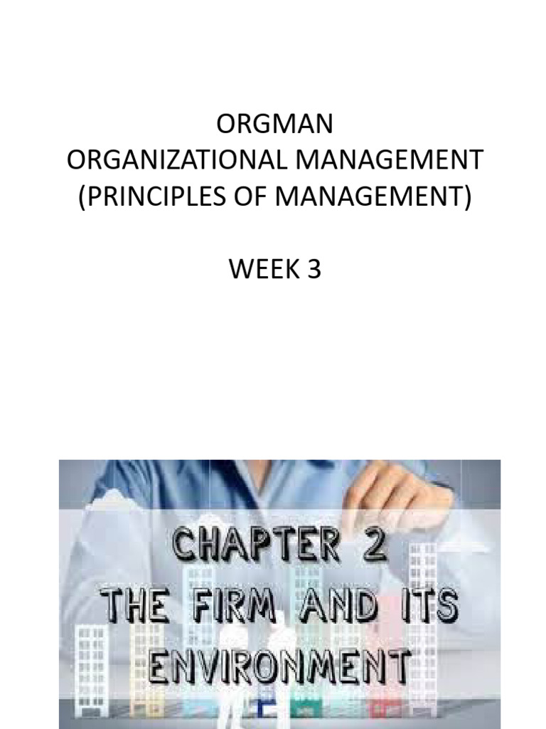 Orgman Week 3 | PDF | Swot Analysis | Partnership
