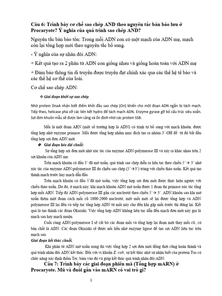 đcSINHHOCtusoan TNT | PDF