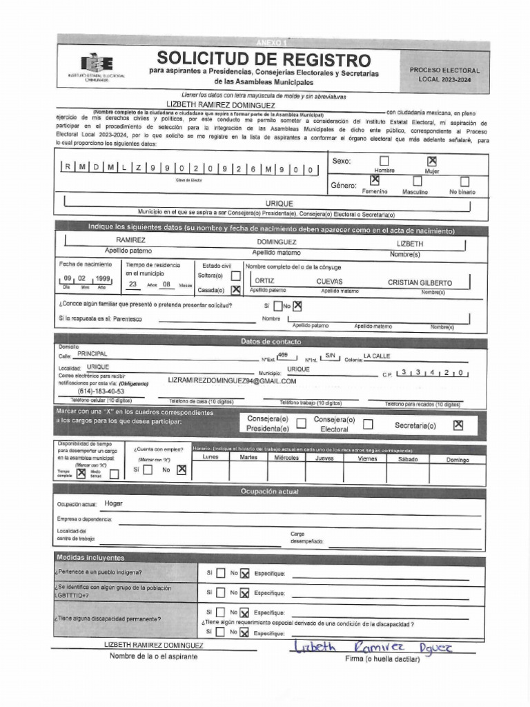 Lizbeth Ramírez Dominguez | PDF