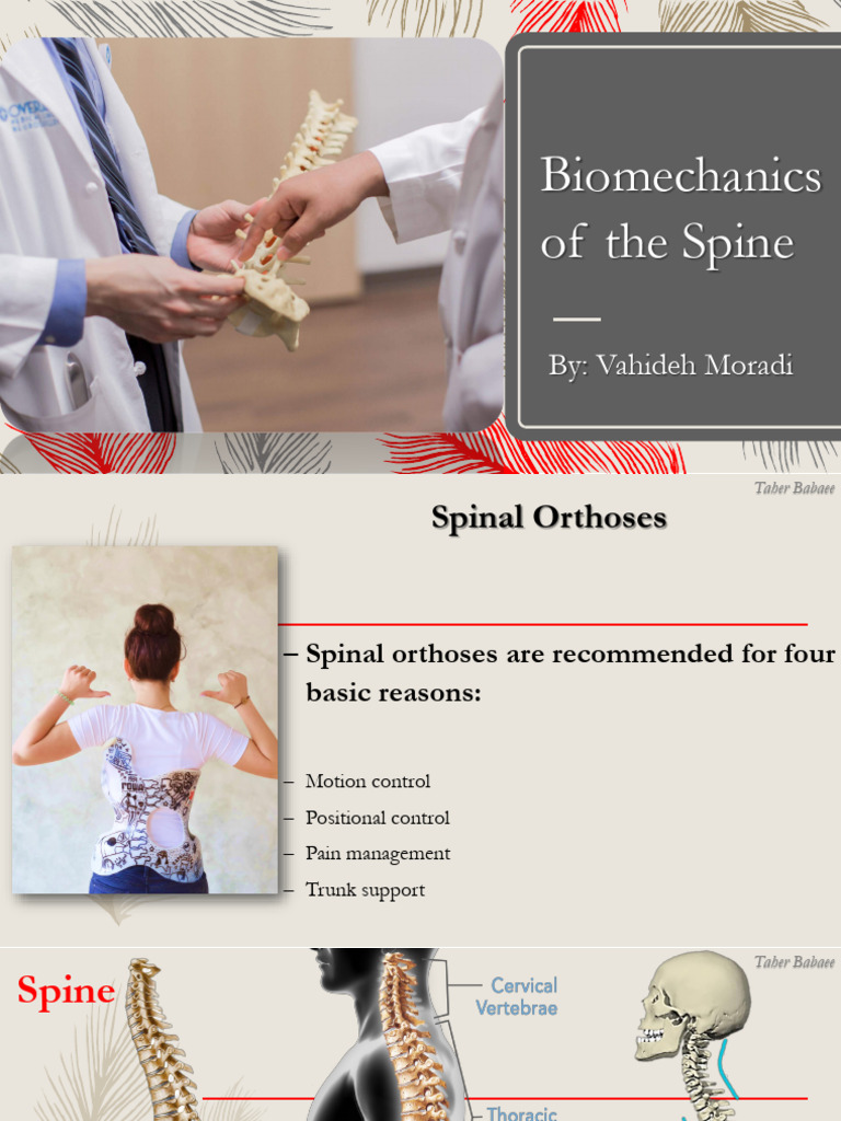 Biomechanics of the Spine1(chapter5.T) | PDF | Vertebral Column | Vertebra