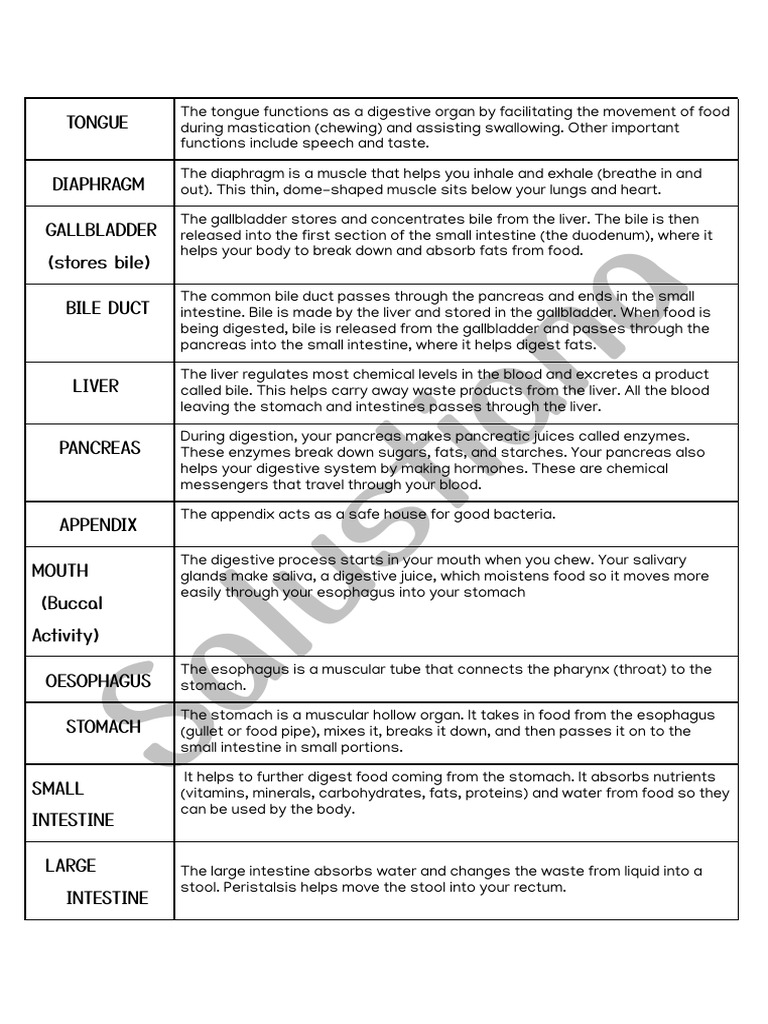 Digestive System - Parts & Functions | PDF | Human Digestive System ...