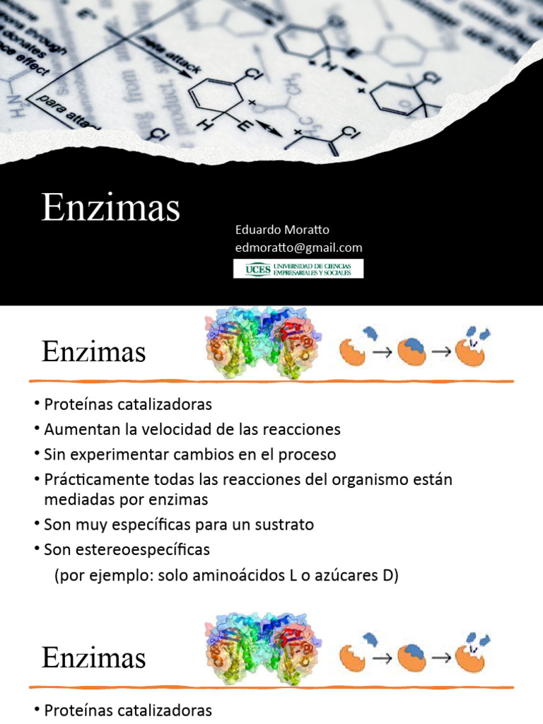 6 Enzimas | PDF | Enzima | Inhibidor de la enzima