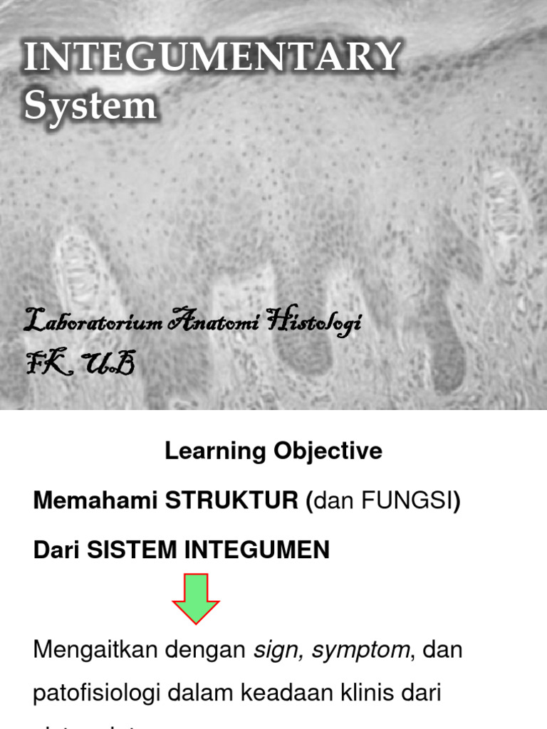 Integumen PF | PDF