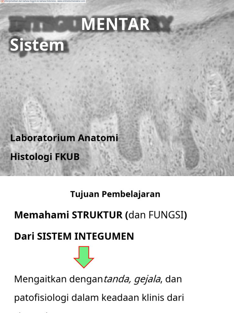 Integumen PF - En.id | PDF | Sains & Matematika