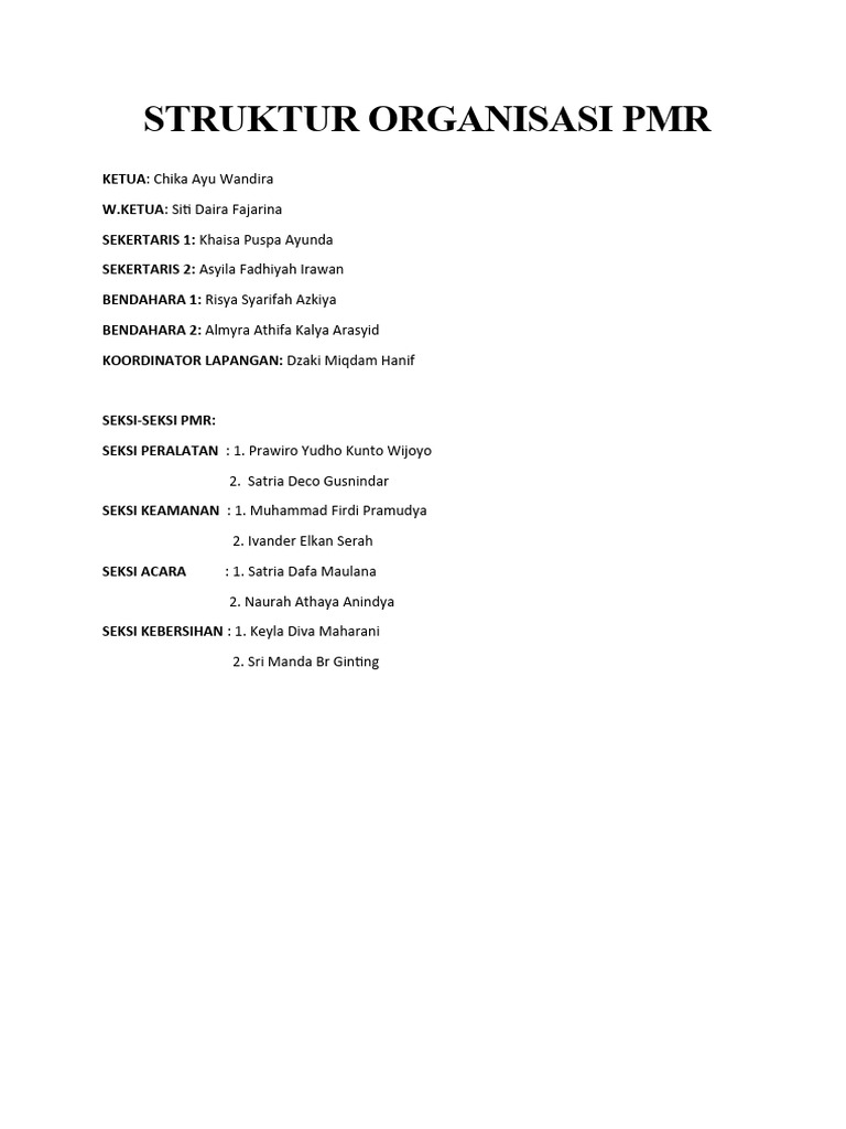 STRUKTUR ORGANISASI PMR | PDF