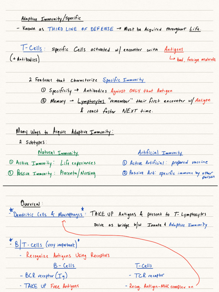 Adaptive, Specific Immunity | PDF