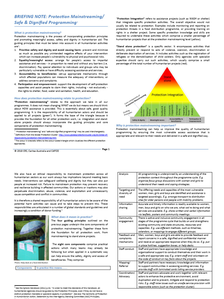 Protection Mainstreaming Briefing Note - EN | PDF | Wash | Violence