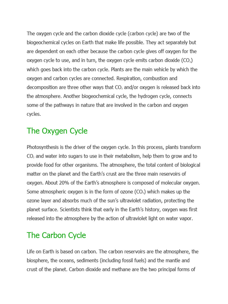 The Oxygen Cycle and The Carbon Dioxide Cycle | PDF | Carbon Cycle ...