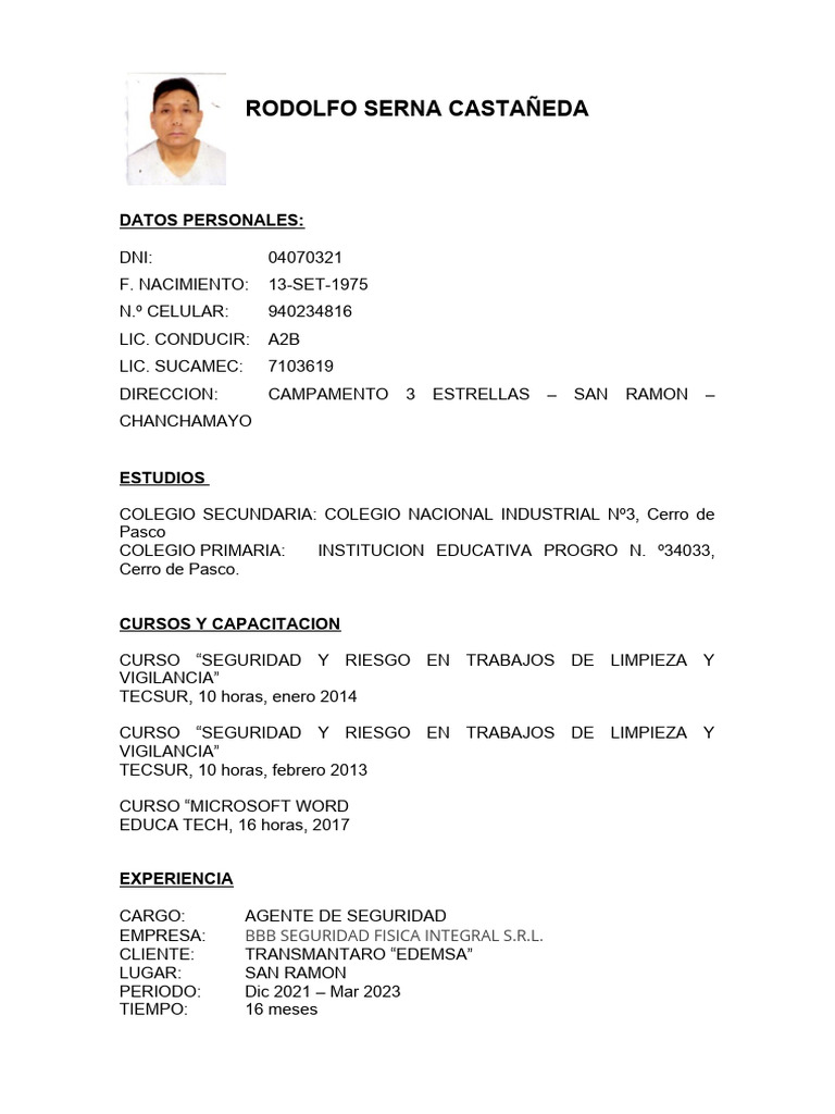 CV RODOLFO CERNA CASTAÑEDA | PDF | Negocios