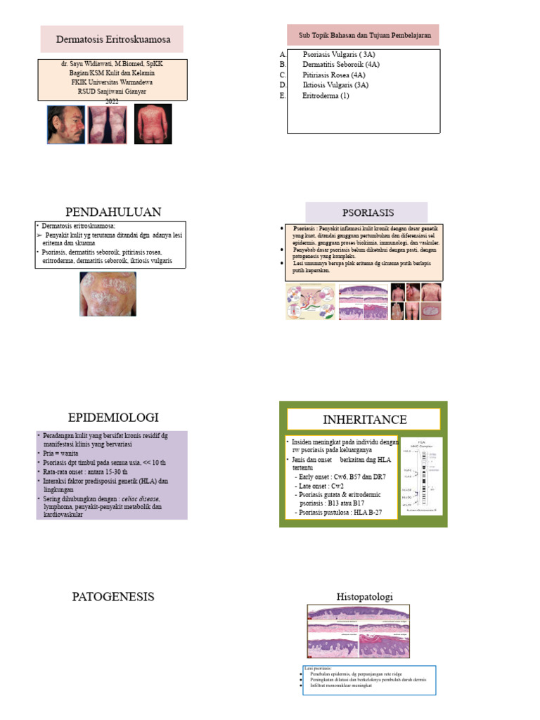 Kuliah 4 SPKK .Dermatosis Eritroskuamosa, 2022 (DR Sayu) | PDF