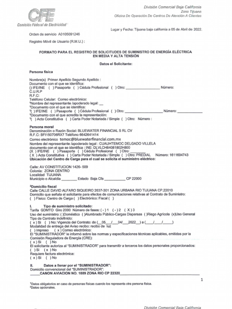 Formato de Registro Cfe | PDF