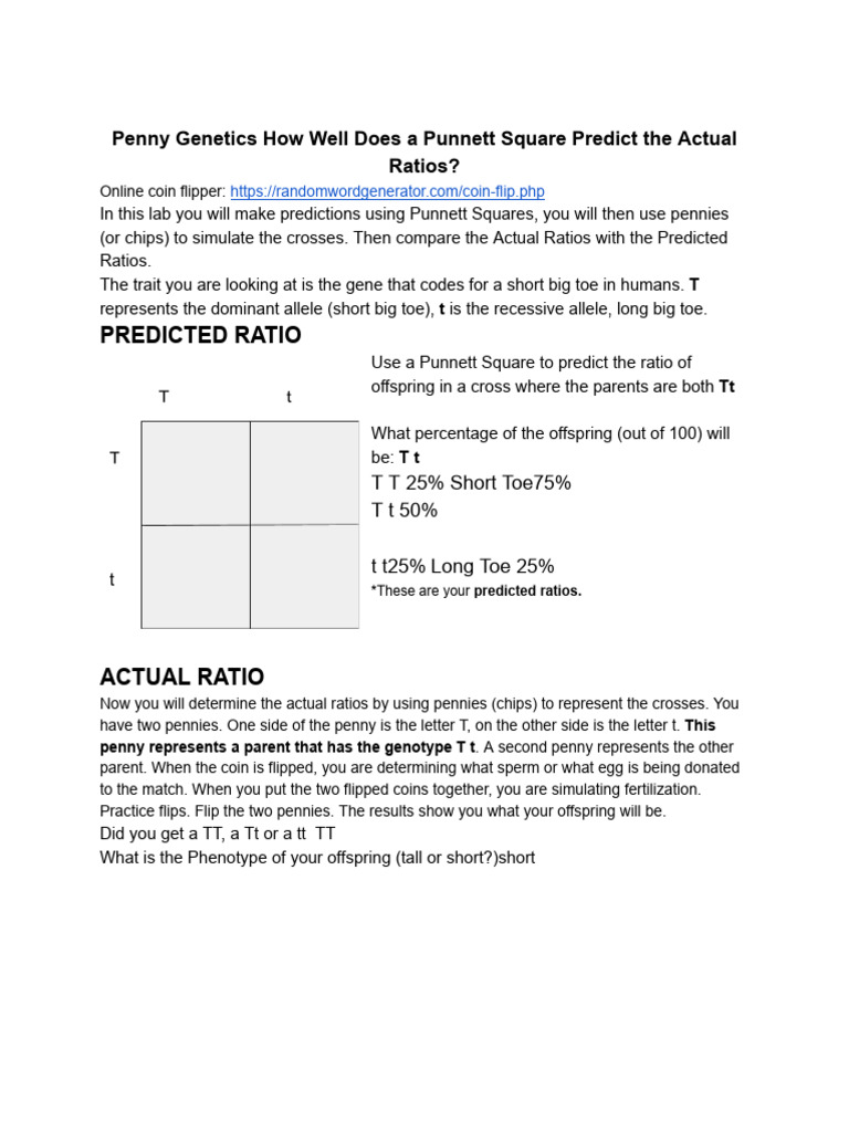 Penny Genetics How Well Does A Punnett Square Predict The Actual Ratios ...