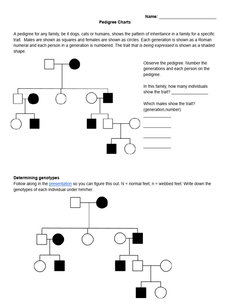 Pedigrees Lesson For November 9th | PDF | Genotype | Evolutionary Biology