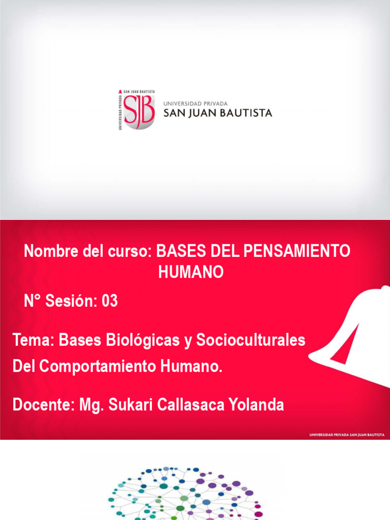 Tema 3 Bases Biologicas | PDF | Cerebro | Hemisferio cerebral
