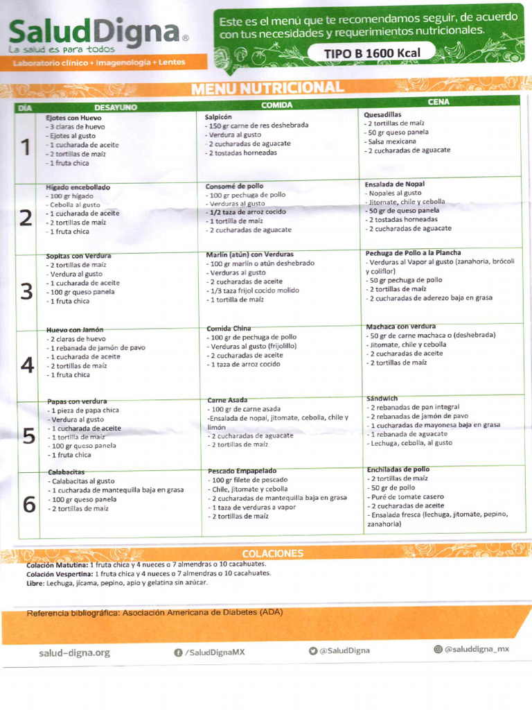 Salud Digna Menu Nutricional | PDF