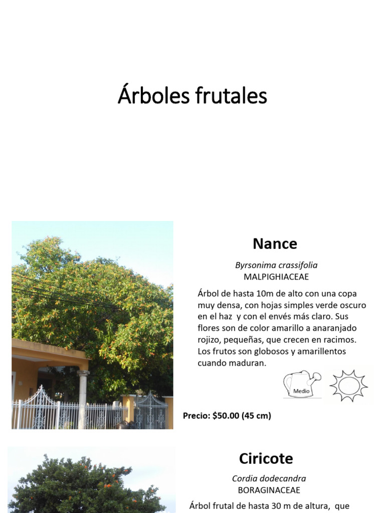 Guía de Árboles Frutales y Precios | PDF | Hogar, jardinería y ...