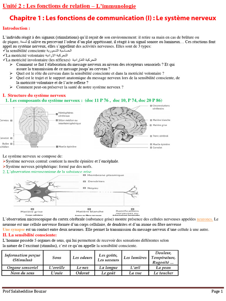 Résumé sur le Système Nerveux 3ème | PDF | Système nerveux | Nerf