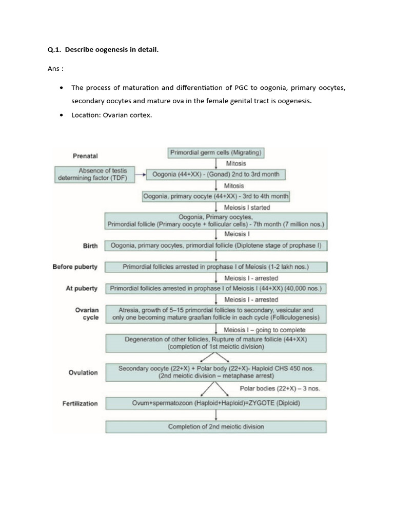 SAQ Unit 2 | PDF | Fertilisation | Sperm