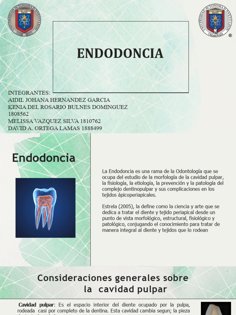 Clase Buena de Endo | PDF | Ramas de Odontología | Boca