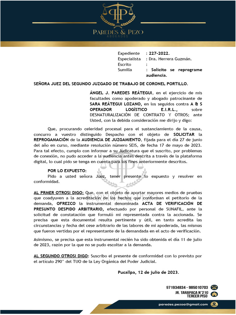 Solicito Reprogramación y Otros | PDF | Ley Pública | Judicaturas