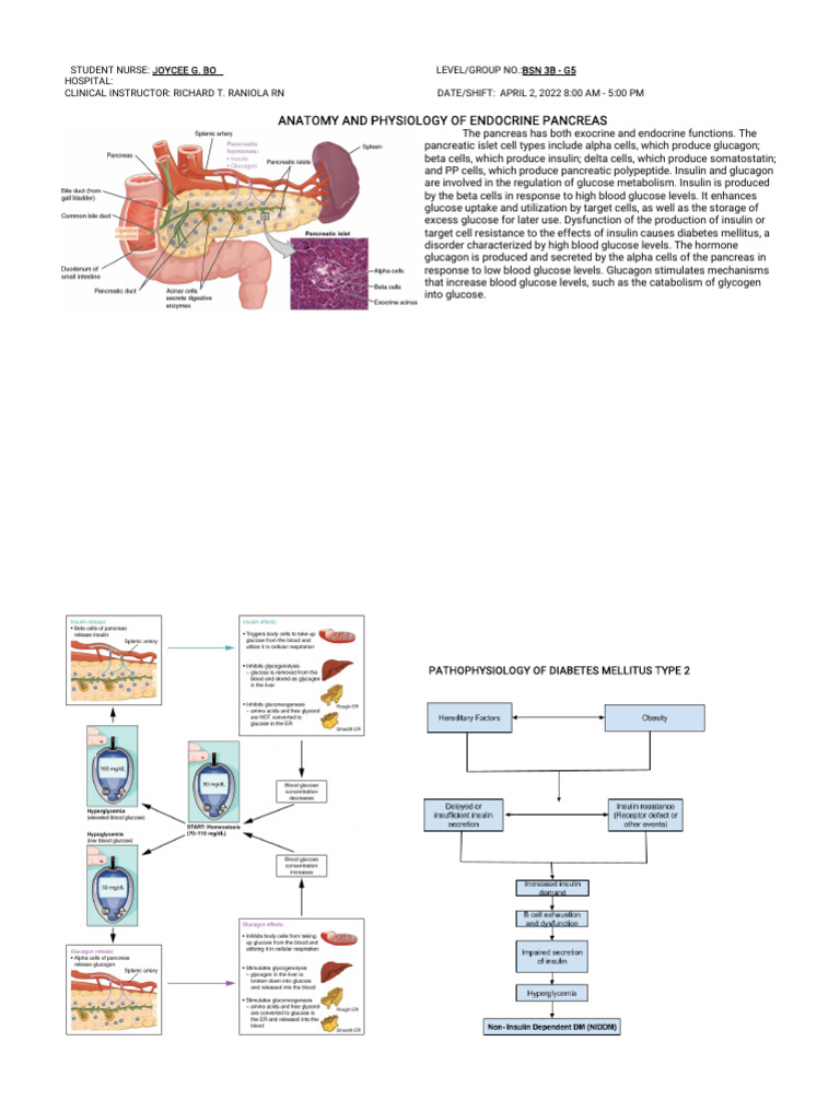 BONCM116BSN3BG5 Rapp Sheet | PDF