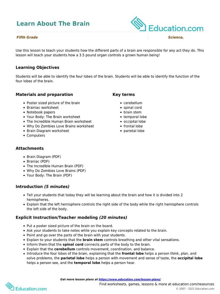 Usr Local SRC Education - Com Files Static Lesson-Plans Learn-About-The-Brain Learn-About-The ...