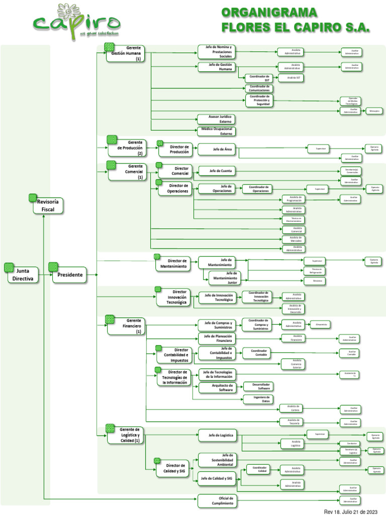 Fo-Ep-04 Organigrama Flores El Capiro S.A. | PDF | Contabilidad | Logística