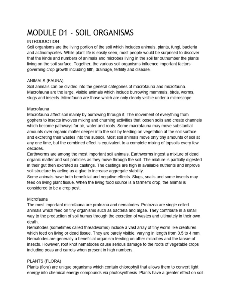 Agronomy (Soils) - Module D - Biological | PDF | Soil | Fungus