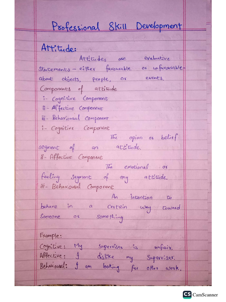 p-s-d-attitude-personality-values-pdf