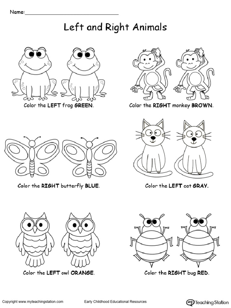 Mts Left and Right Animals Worksheets | PDF