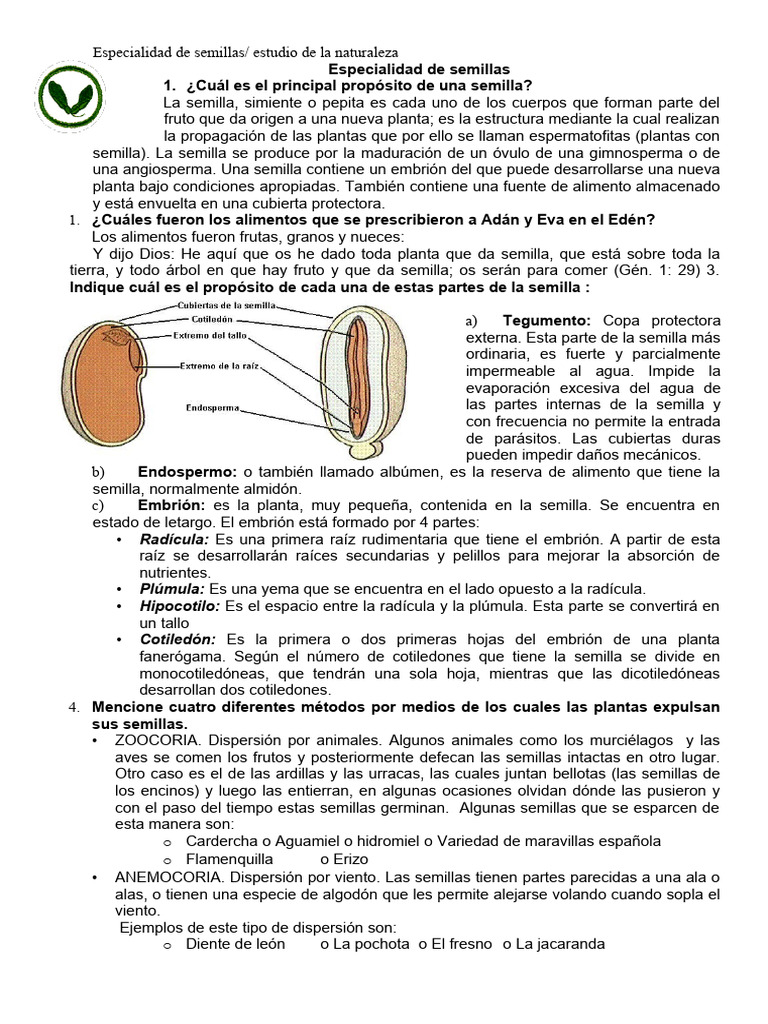 Semillas Pdf Semilla Germinación