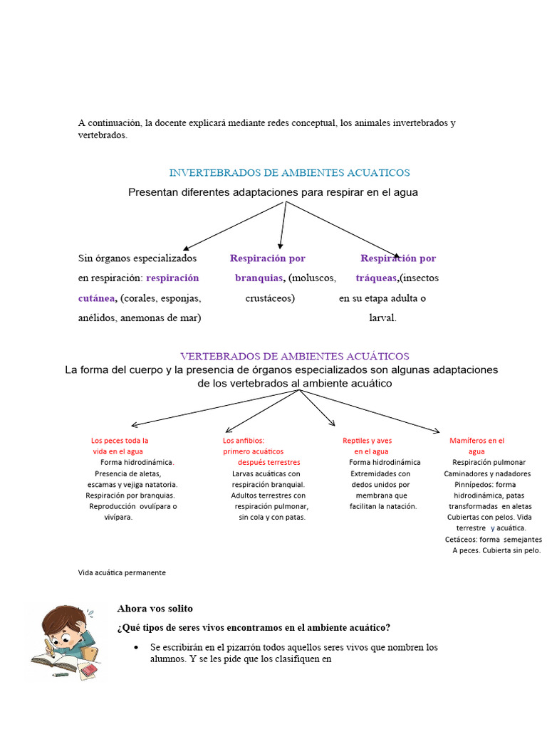 Invertebrados y vertebrados acuáticos | PDF | Respiración | Branquia