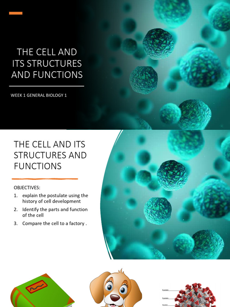 Understanding Cell Structures and Functions | PDF | Cell (Biology ...