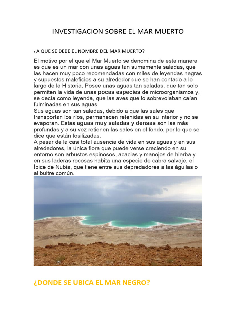 Investigacion Sobre El Mar Muerto | PDF