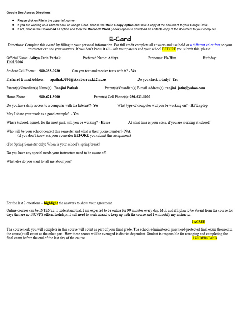 Google Doc Access and E-Card Instructions | PDF | Computing | Software