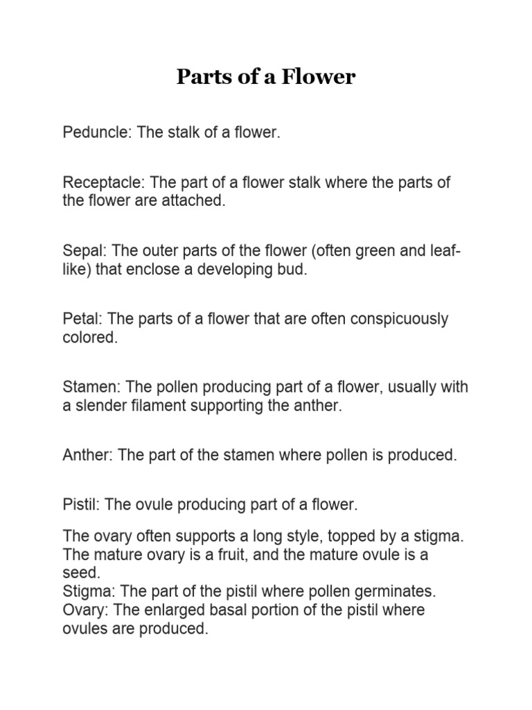 Parts Of The Flower PDF