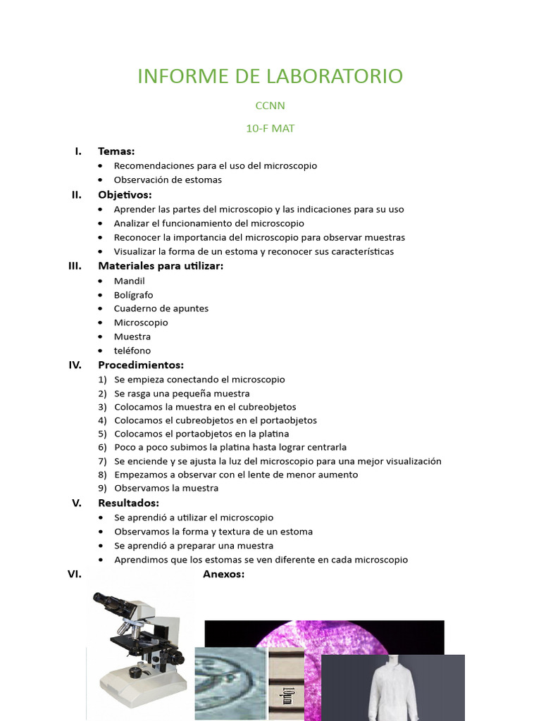 Informe de Laboratorio CCNN | PDF